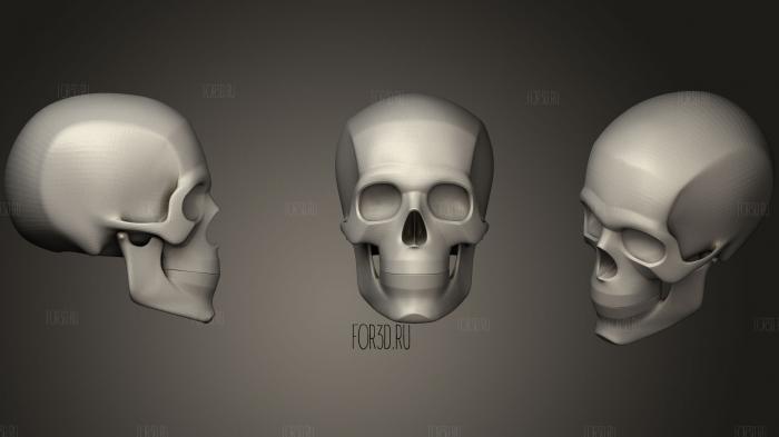 The Human Skull | 3d stl model for CNC